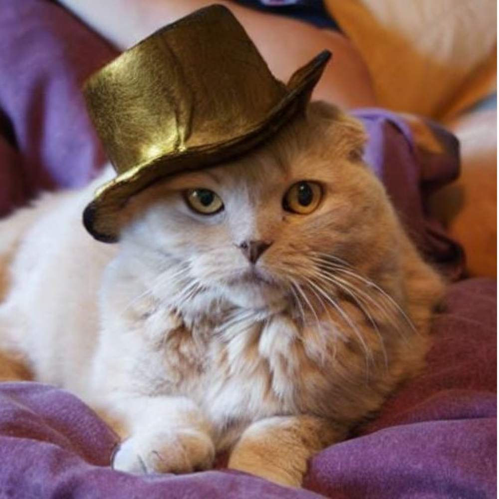 LOCATEdit : Graph Laplacian Optimized Cross Attention for Localized ...